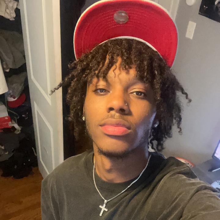 🦄 @officialmingo - Mingo 🤩 - TikTok