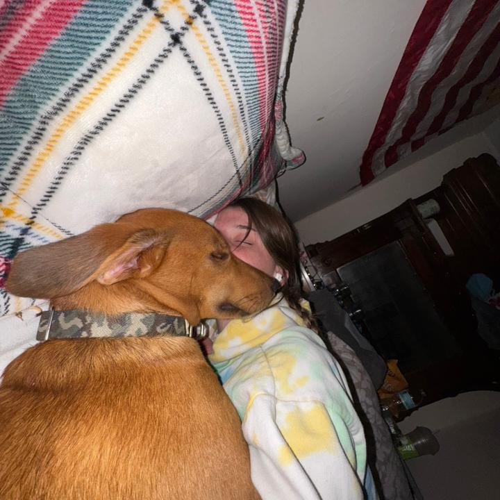 🦄 @julia_ferrell - julia - TikTok