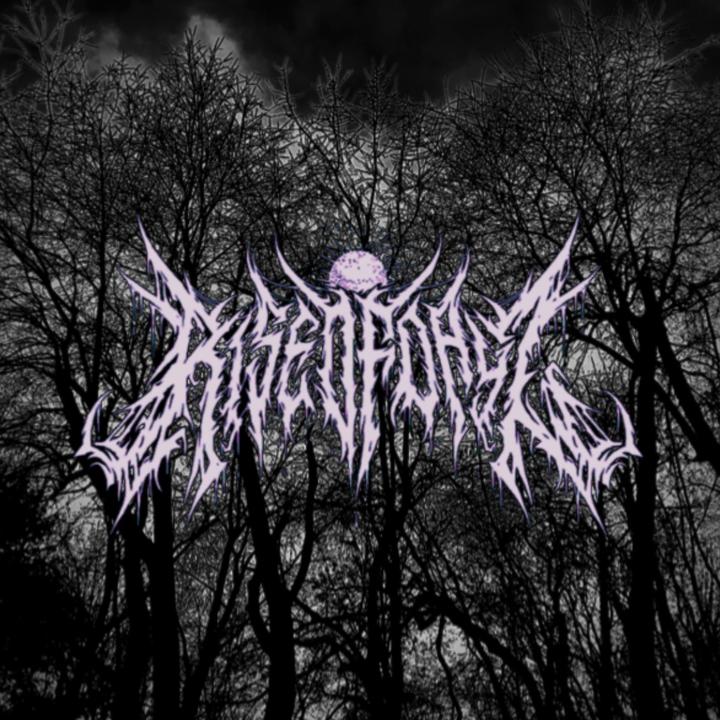 🦄 @riseofdayzofficial - Asher Day - TikTok