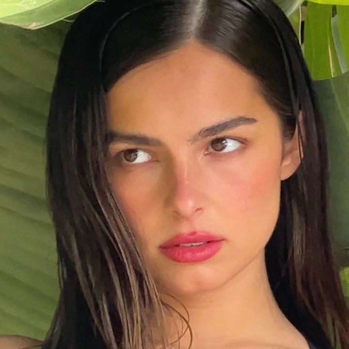 Addison Rae (@addisonre) Realtime TikTok Live Follower Counter ⚡️ ...