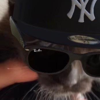 🦄 @potartz_art - Poptartz - TikTok