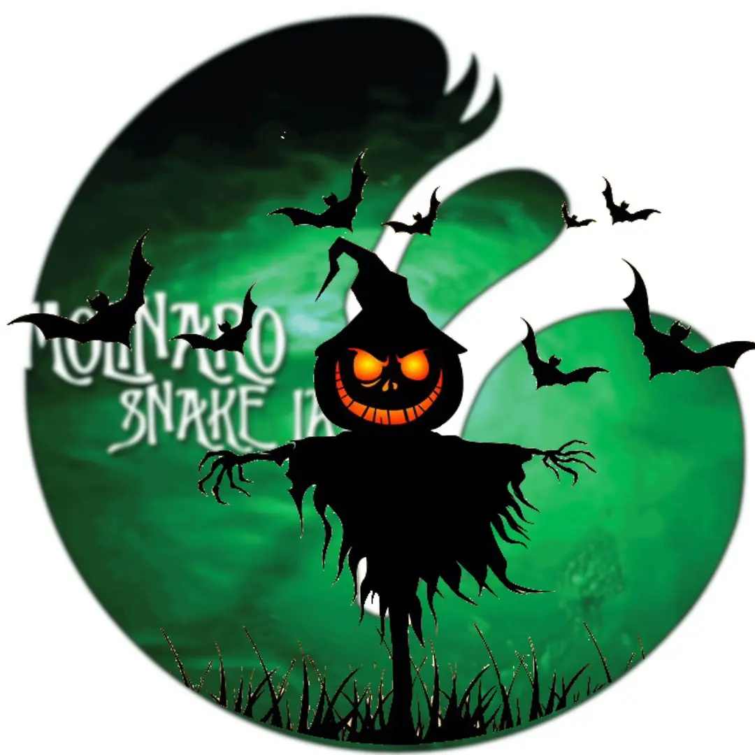 Keary Molinaro – Аналітика TikTok для @molinaro_snake_lab | Профіль ...