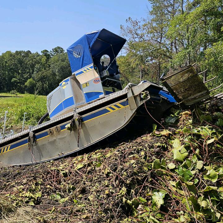 🦄 @arrowheadpondresto - Arrowhead Pond Restoration - TikTok