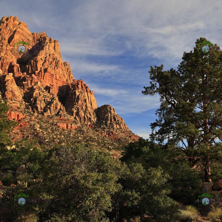 🦄 @natch_photos - Nātch | Photography - TikTok