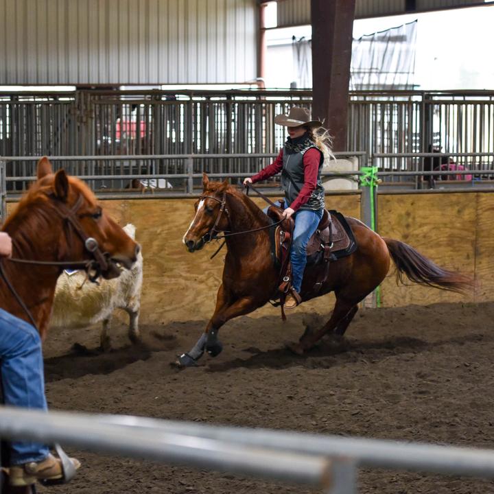 song by . hoodie by . did you know all proceeds go to the retired k9s ...