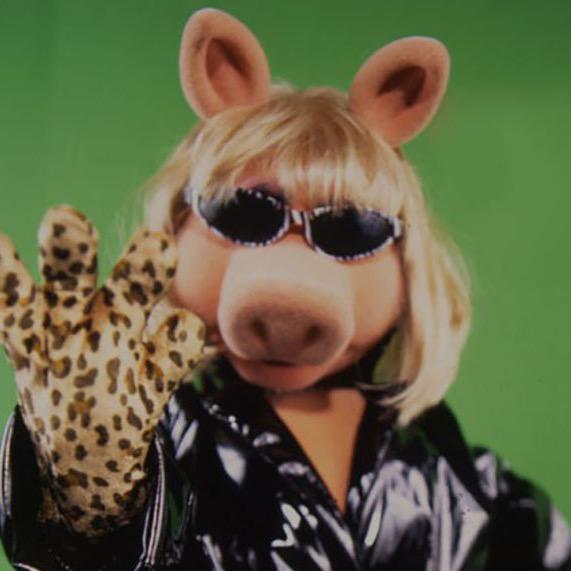 🦄 @muppetsleaze - muppet sleaze - TikTok